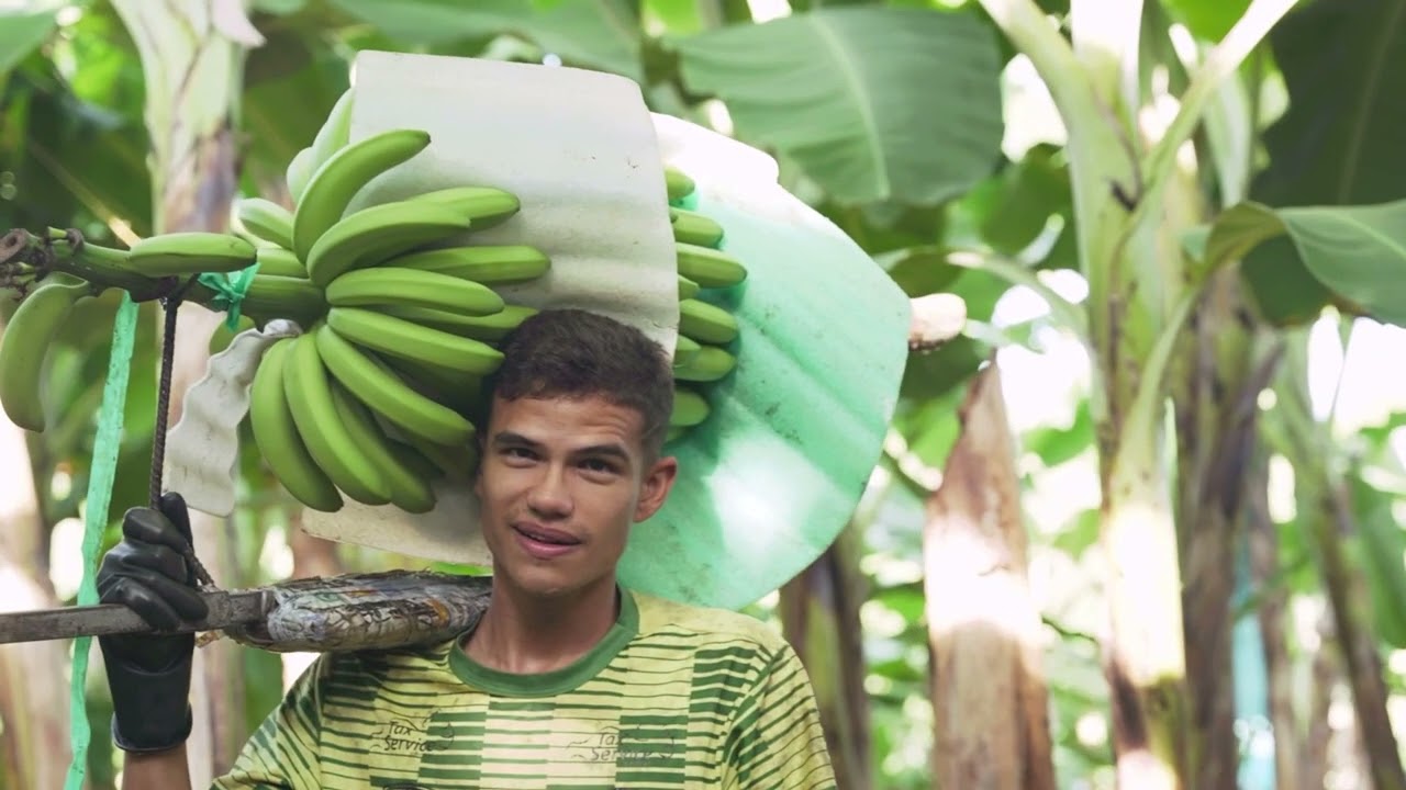 Co-op Group - How are cooperatives contributing to sustainable development?