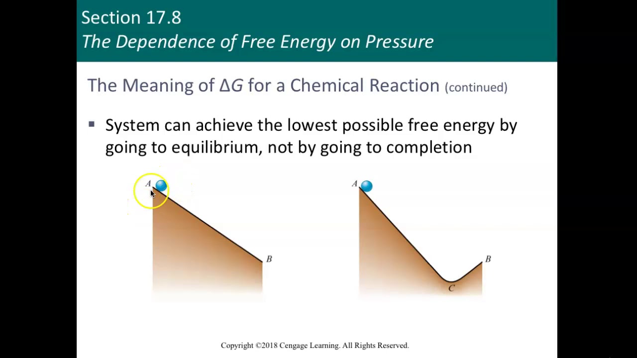 Chapter 17 PowerPoint Part 2