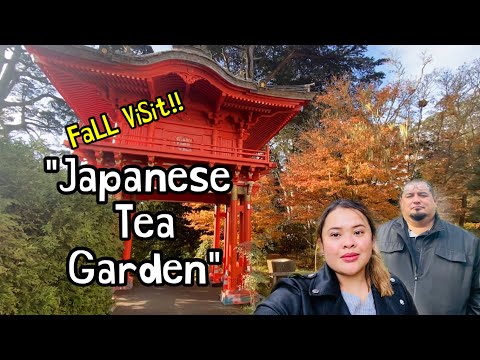 JAPANESE TEA GARDEN | SAN FRANCISCO | Madam Ambisyosa #Japanese tea garden san francisco