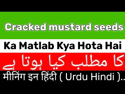 Cracked Mustard Seeds Meaning | Cracked Mustard Seeds Meaning In Urdu Hindi | Cracke