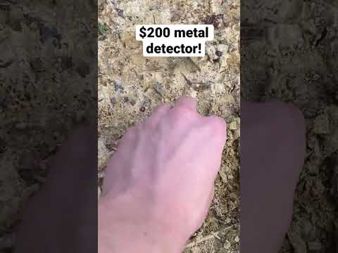 This $200 metal detector might be worth your money