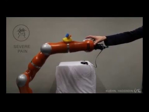 Scientists Are Designing Robots to Feel Pain