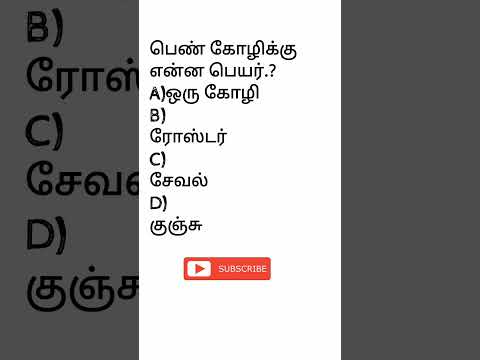 பெண் கோழிக்கு என்ன பெயர்.?What is a female chicken called.?