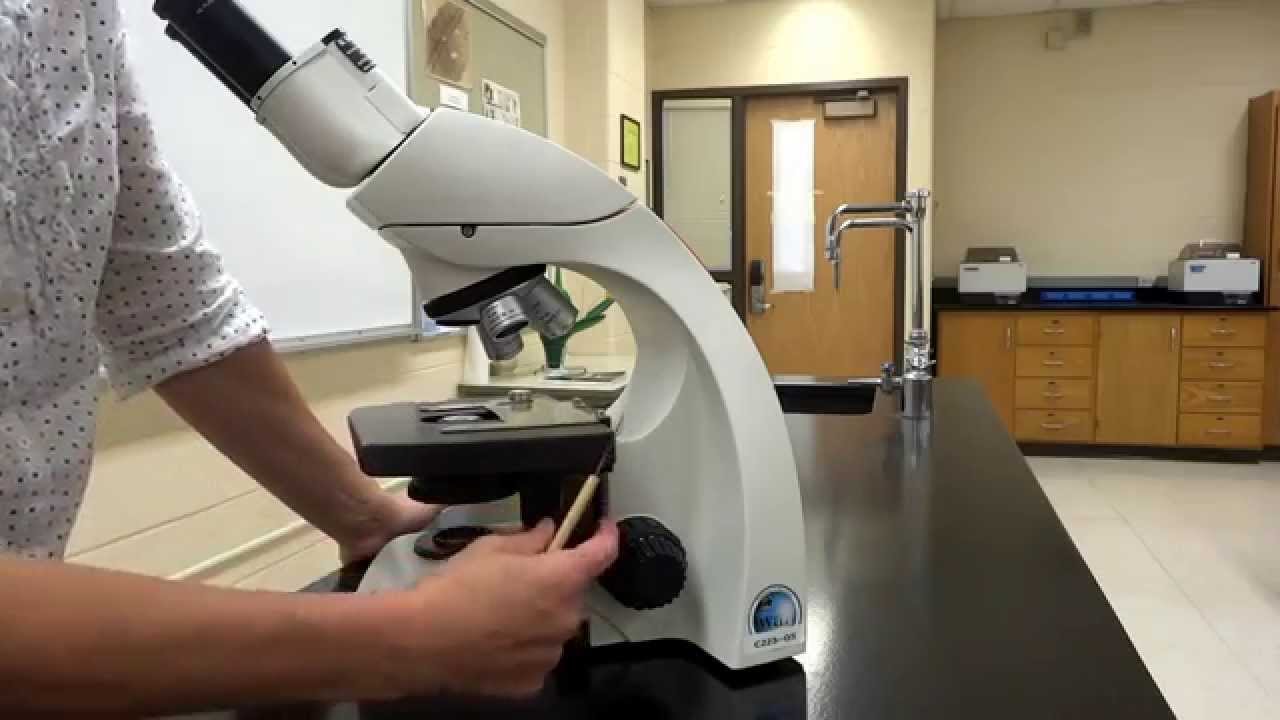 Lab 2: Part 1 - Microscope parts
