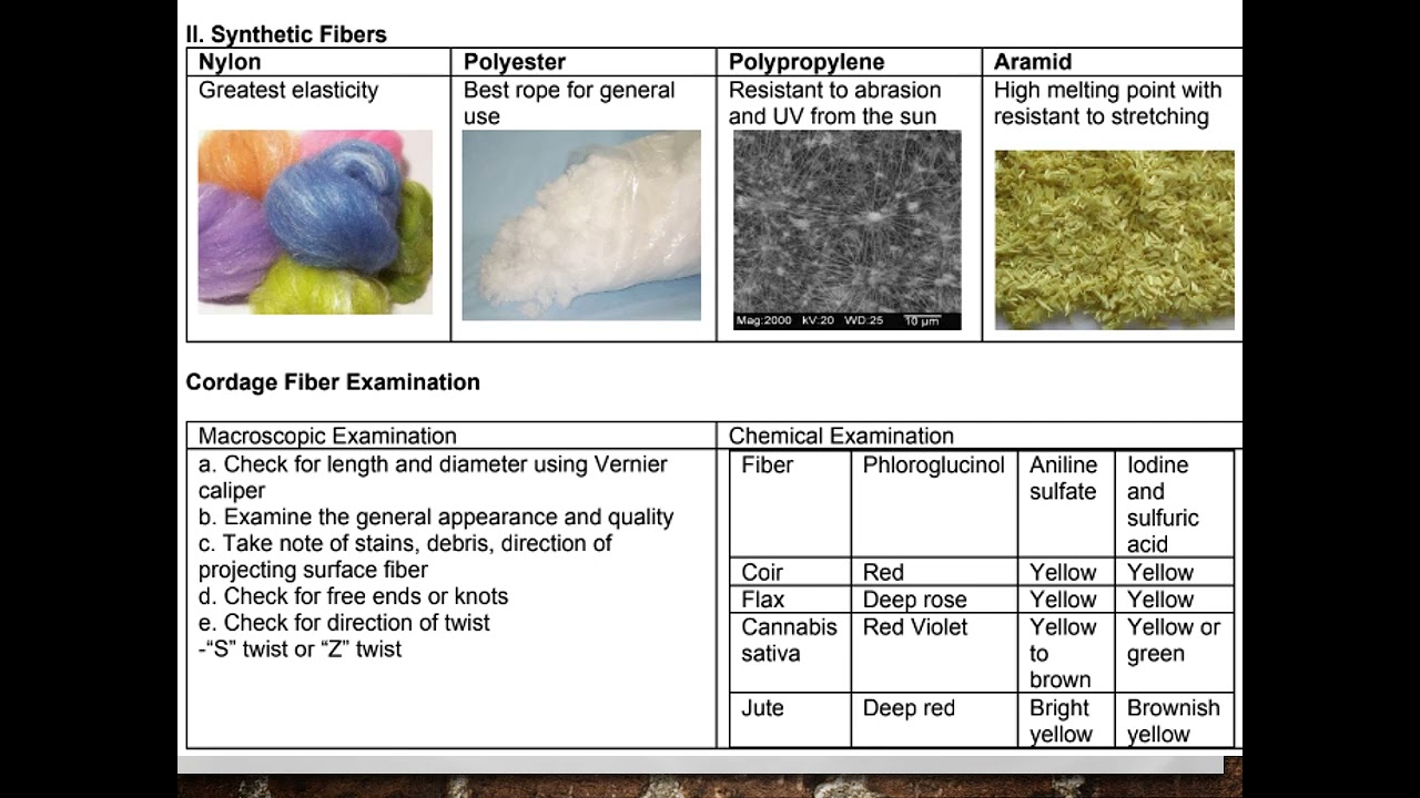 LEC 2C CHAPTER 5 Hair and Fibers ANALYSIS Forensic Lecture   Copy   Copy