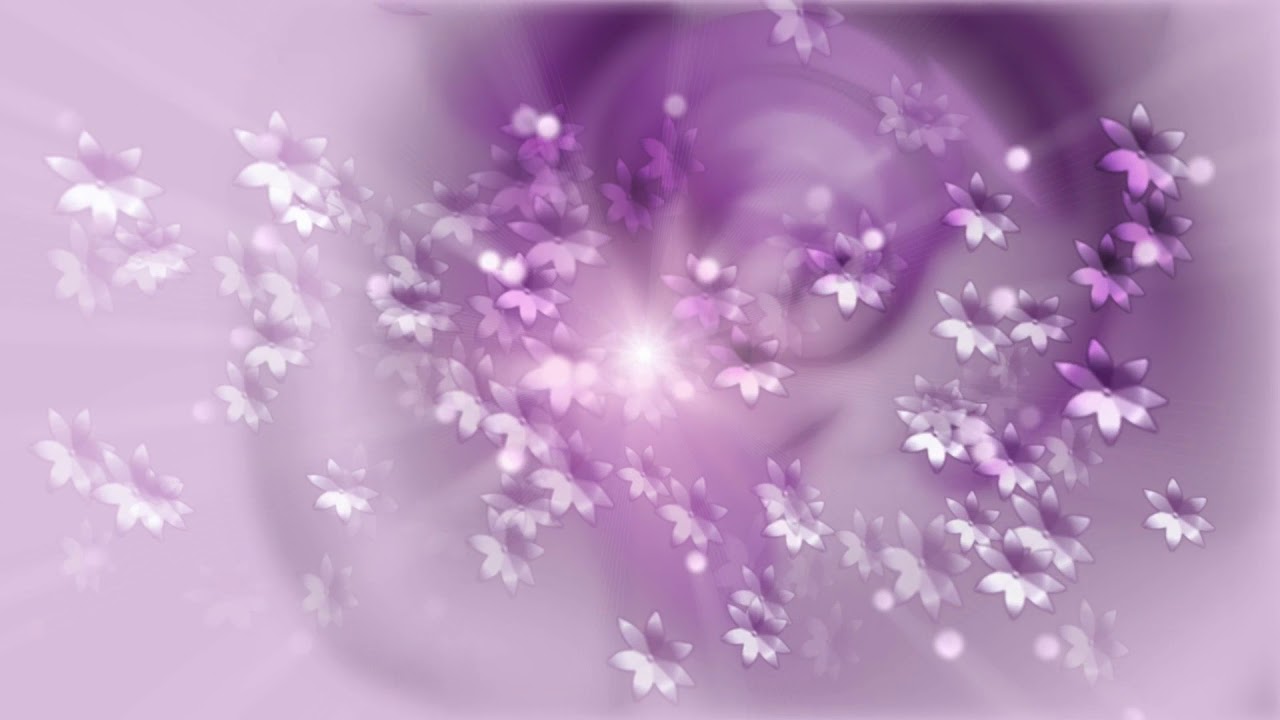 Purple Flowers Motion Background