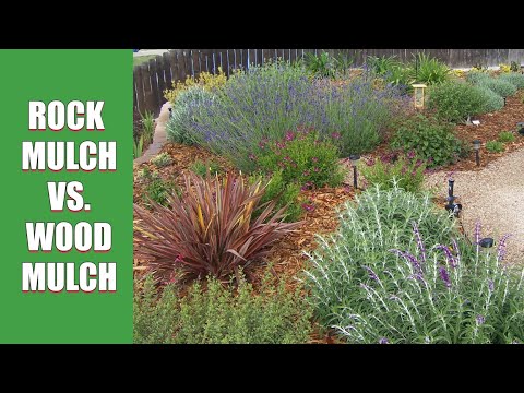 Rock Mulch vs. Wood Mulch