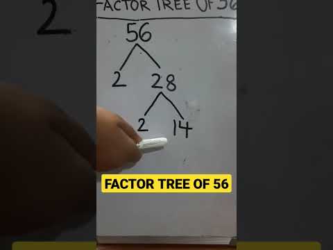 Factor tree of 56 #factorization #factortree