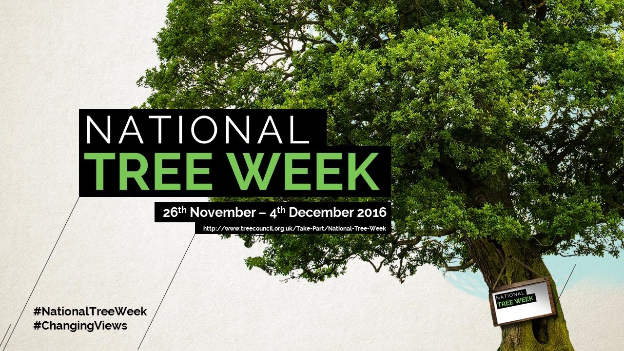 Amazing Tree Facts - Made in PowerPoint