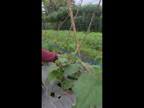 Maintain Your Land Without Spending Much – The Smart Farmer Way