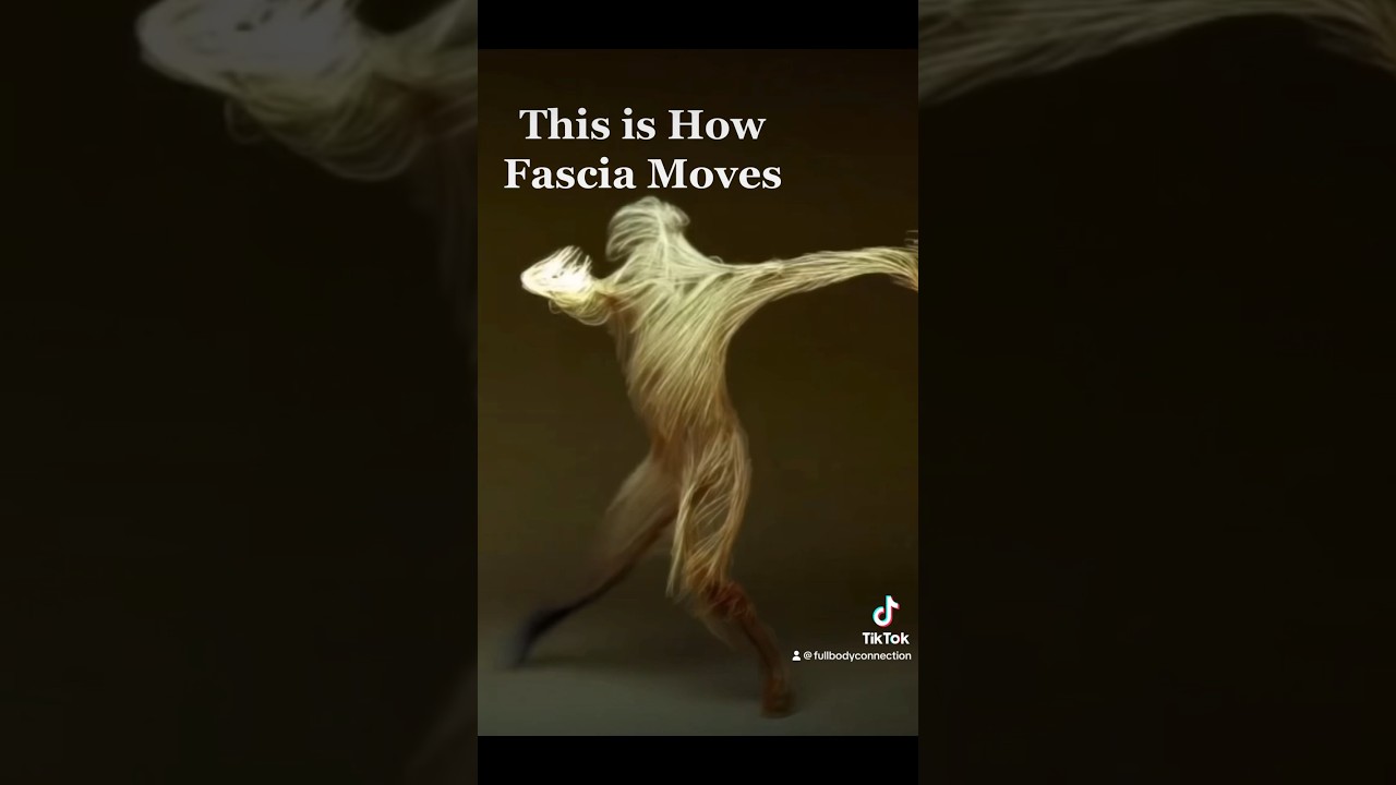 How fascia moves #fascia #goodposture #fasciaboard #posturecorrection
