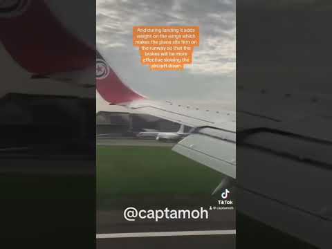 Speed brakes #aviation #youtube #airplane #shorts #education #funfacts #captamoh #airbus #boeing
