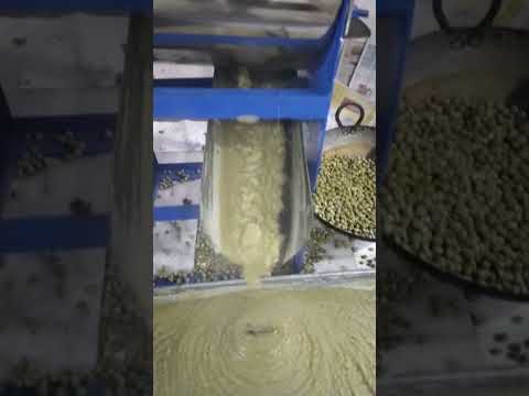 Amla Processing Machine at Best Price in India