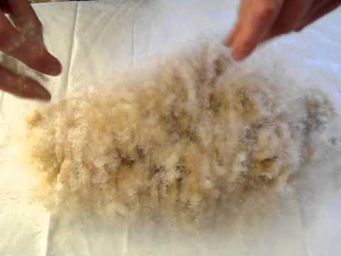 Exploding Cattails – A Cool Natural Phenomenon | New York Flora ...