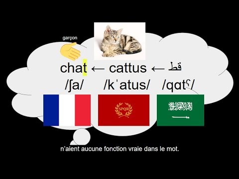 What to do about French writing//Ce qu'il faut faire de l'écriture française