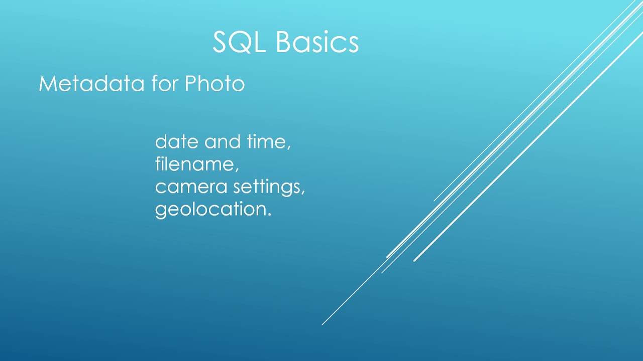 SQL Basics   Metadata