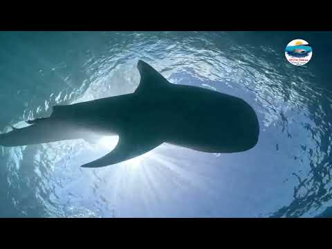 Desa Wisata Botubarani