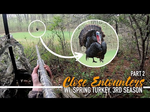 Wisconsin Turkey Hunting 2023 {PART 2} - WOULD YOU HAVE SHOT?