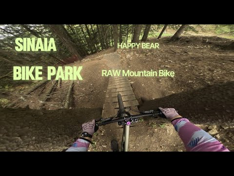 Raw Downhill Clip | Specialized Status 2 on Technical Double Black | Un happy bear corect !