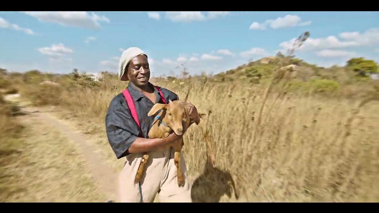 Tsamba Yerufu by Baba Harare from Zimbabwe | Popnable