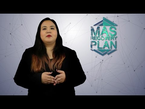 Malaysia Airlines Part 3 [BFM Case Study]