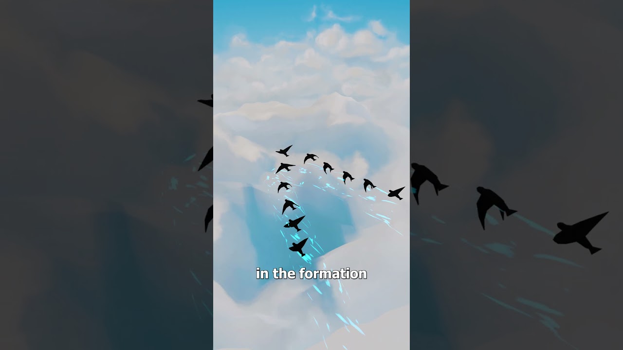 Why Birds Fly In ‘V’ Formations 🤔
