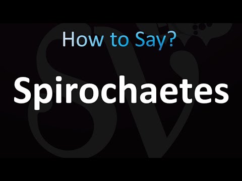 How to Pronounce Spirochaetes (correctly!)