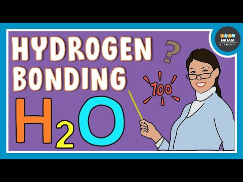 Hydrogen Bonding | Chemistry