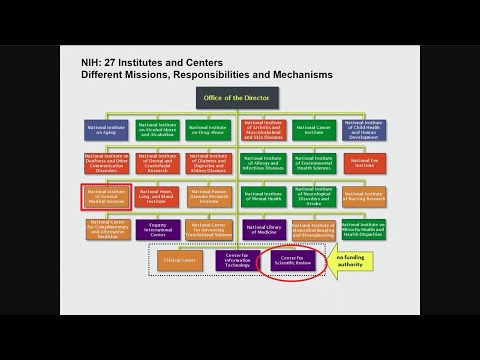 Priorities for Developing Researchers: Perspectives from the NIH and IARS
