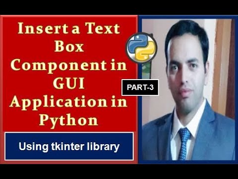 Insert a Text Box in GUI application in Python