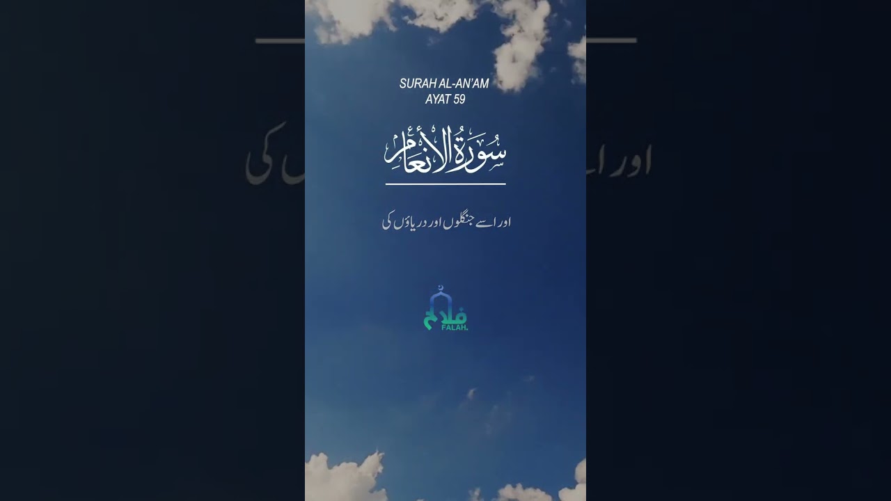 Surah Al Inam Verse 59 Quran Quran Recitation