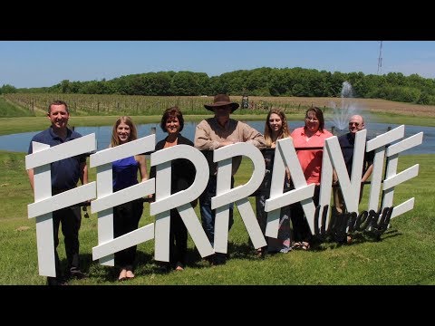 Best Of Wine Trail Youtube FIX