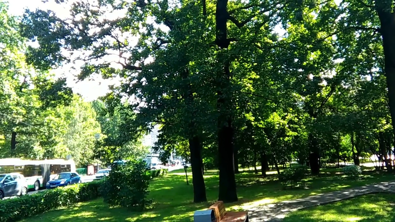 Sample mp4 video lasting 5 seconds