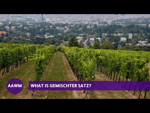 What is Gemischter Satz?