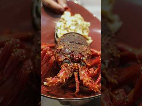 Vive en la Baja | Puerto Escondido