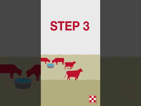3 steps to improved grazing efficiency