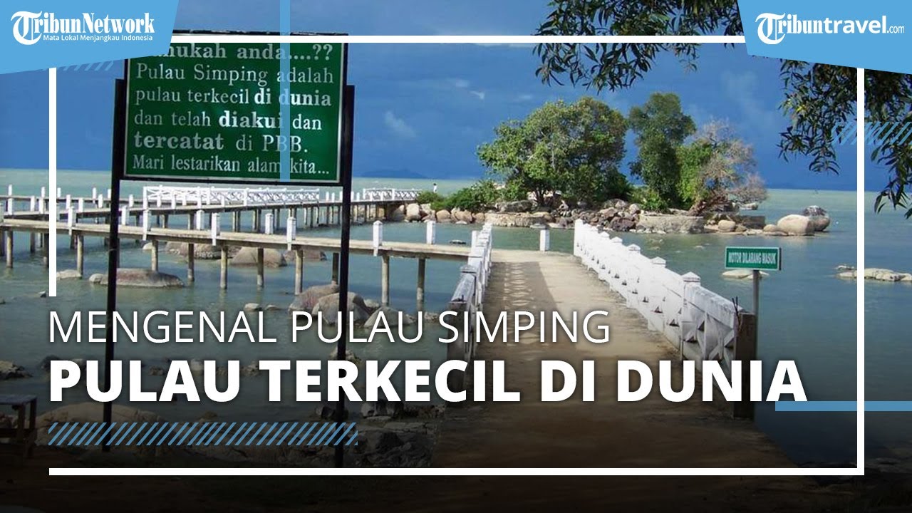 Mengenal Pulau Simping di Kalimantan Barat, Pulau Terkecil di Dunia ...