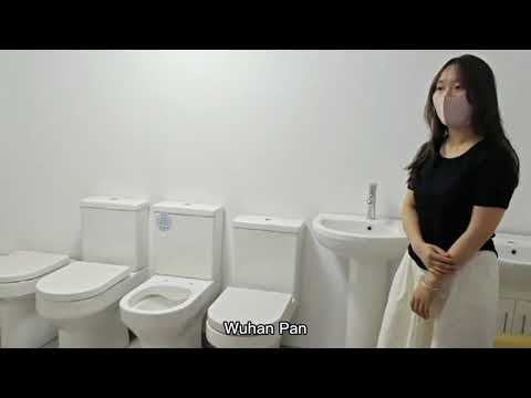 Ceramic Toilets: The Future of Bathroom Design