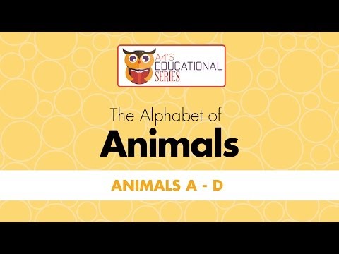 The Alphabet of Animals A-D