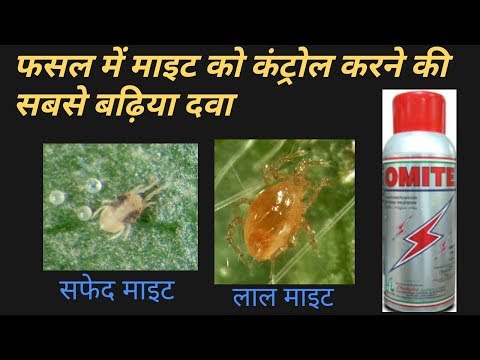 Dhanuka Omite Insecticide, Price from Rs.0/unit onwards, specification ...