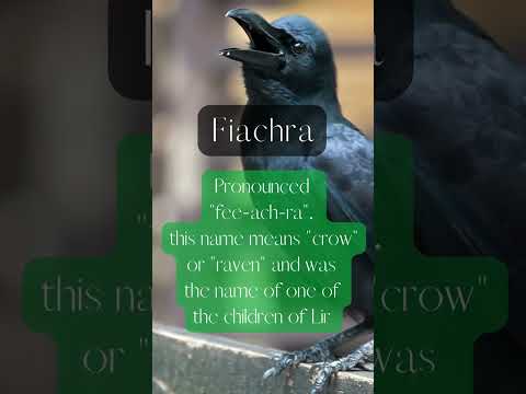 Timelessly beautiful IRISH BOY NAMES!