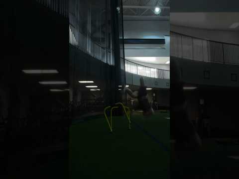 Is 225lbs Too Heavy For Calisthenics?