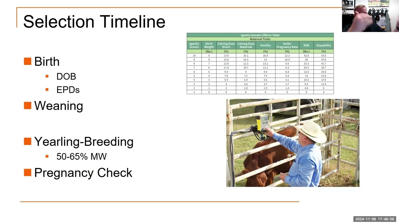 Heifer Selection & Management Webinar