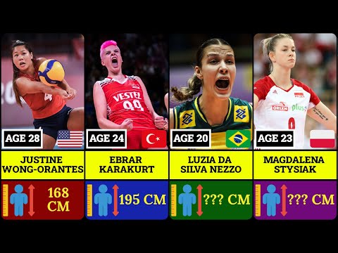 Height Comparison of Volleyball Players | From Shortest to Tallest