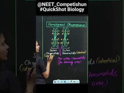 What is The Meaning Of Homologous Chromosome With QuickShot Biology | #shorts#neet#neetpreparation