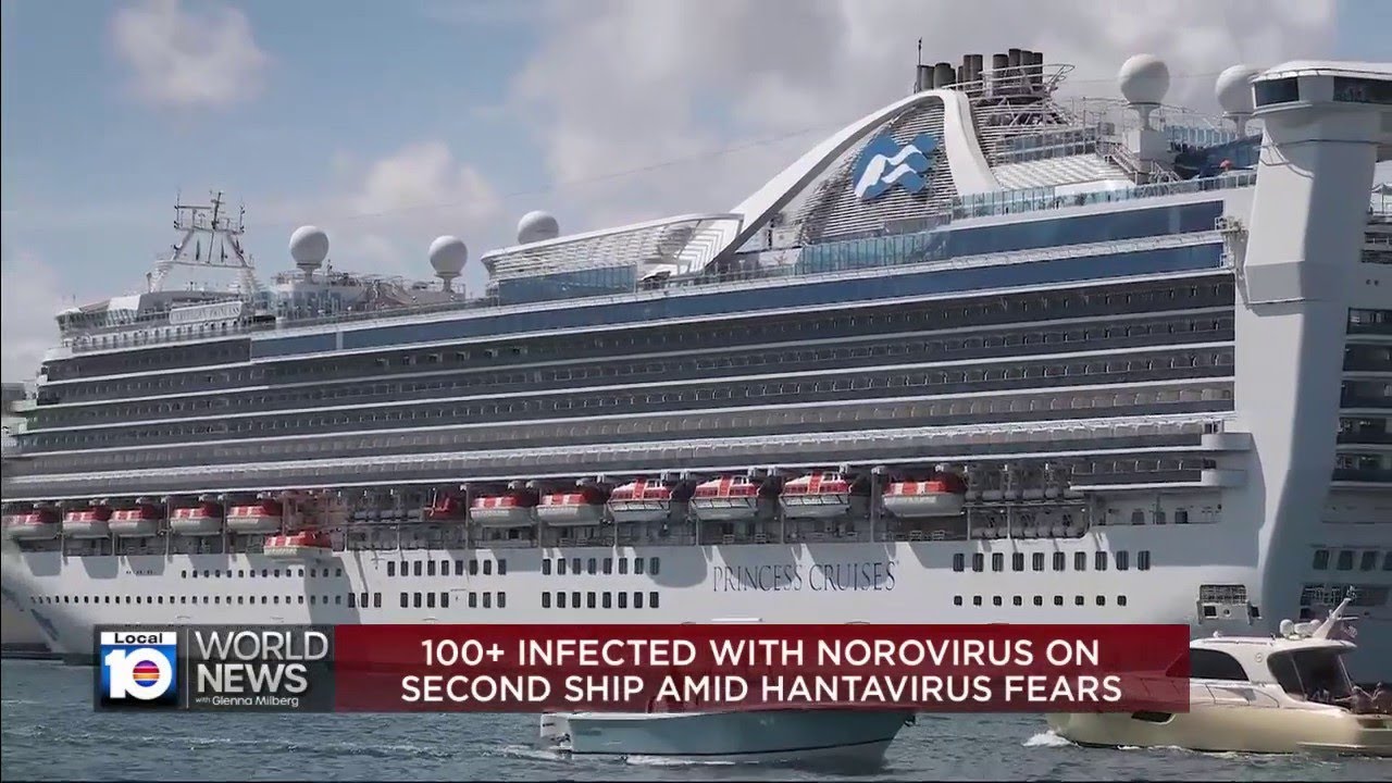Cruise ships deal with norovirus and hantavirus infections