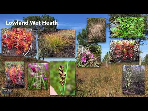 Habitat Indicator Species Trailer