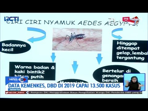 Kemenkes Mencatat, Sebanyak 13.500 Kasus DBD Sejak Awal 2019 - SIS 04/02