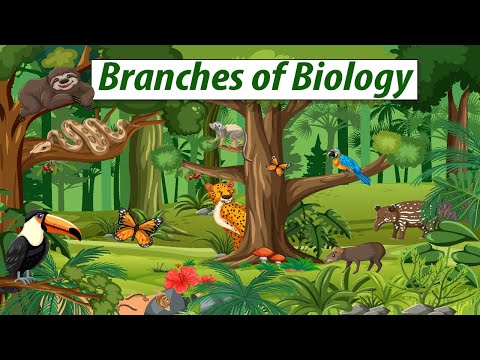 Branches of Biology | SKW Biology
