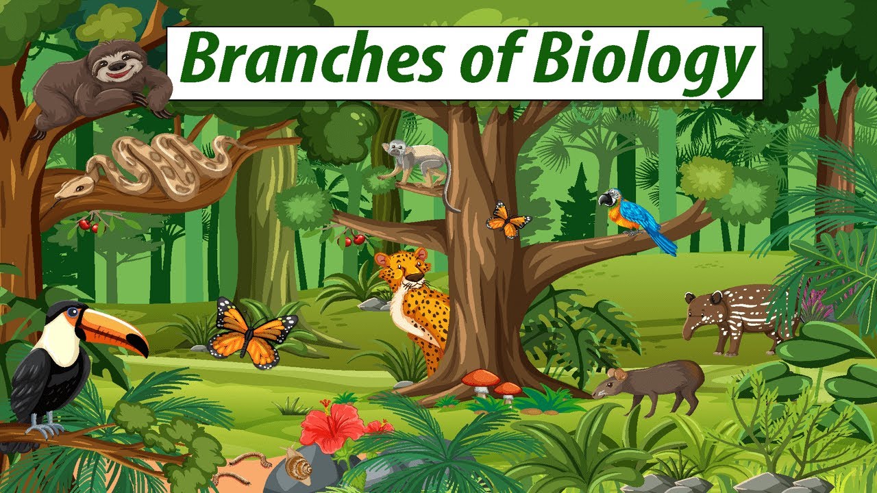 Branches of Biology | SKW Biology